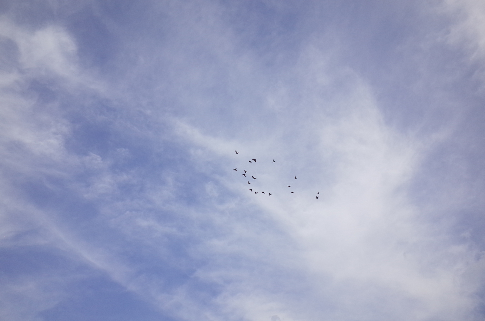 #0072 近所に景色も最高で田舎の旅行気分が味わえる場所があったのでRICOH GRで撮った【その1】。 - GRすきゃん｜RICOH GRで撮る日常