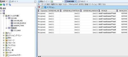OracleのSQL Developerが便利 - kagamihogeの日記