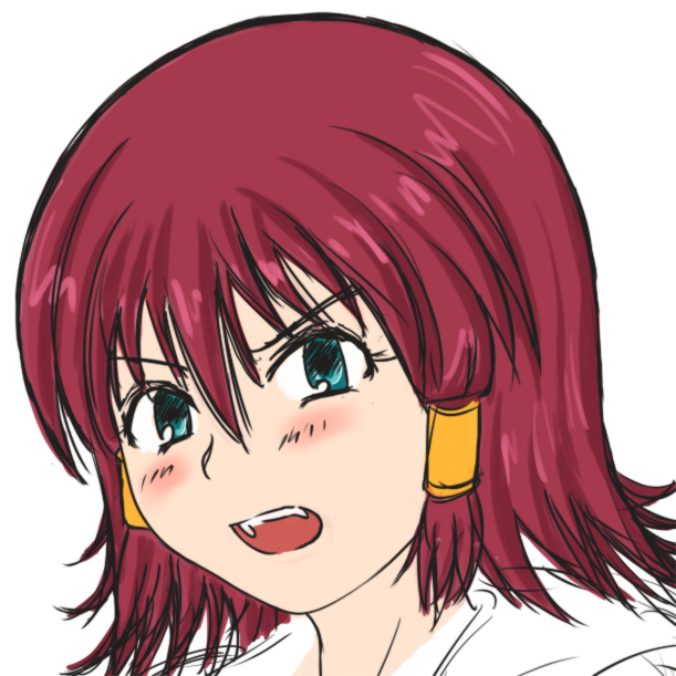 Cintiq 22HDをD-Sub対応にした - kiyo_hikoのブログ