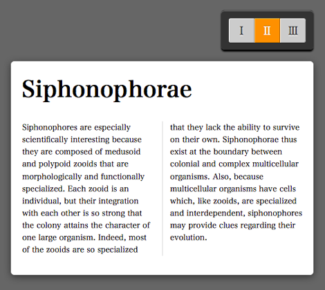 iOS5のMobile Safariから使えるようになったHTML5・CSSを試してみました【後編】 - くらげだらけ