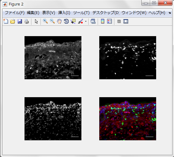 Matlab自習ノート