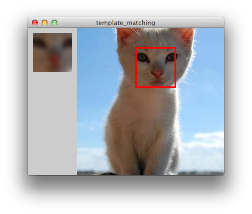 Processing+OpenCVでテンプレートマッチングを行う - kitao's blog