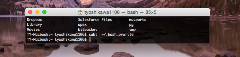 Getting Started with Java on Herokuをやってみました - tyoshikawa1106のブログ