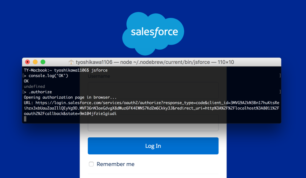 SFDC：JSforceコマンドをターミナルから実行できるようにする方法 - tyoshikawa1106のブログ
