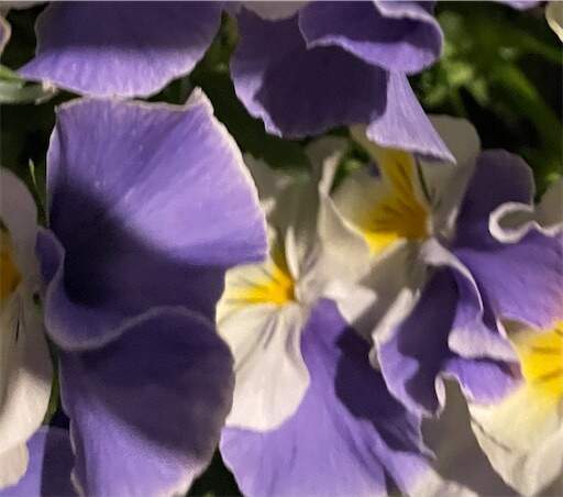 Jeff Beck ジェフ・ベック「ゼア・アンド・バック（There and Back）」アルバム全曲を聴く「Star Cycle」は新日本 ...