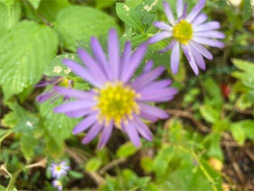 23. My Blue Tears (feat. サイモン・ル・ボン)ドリー・パートン - Arigato 毎日幸せを感じる「懐かしい曲」と ...