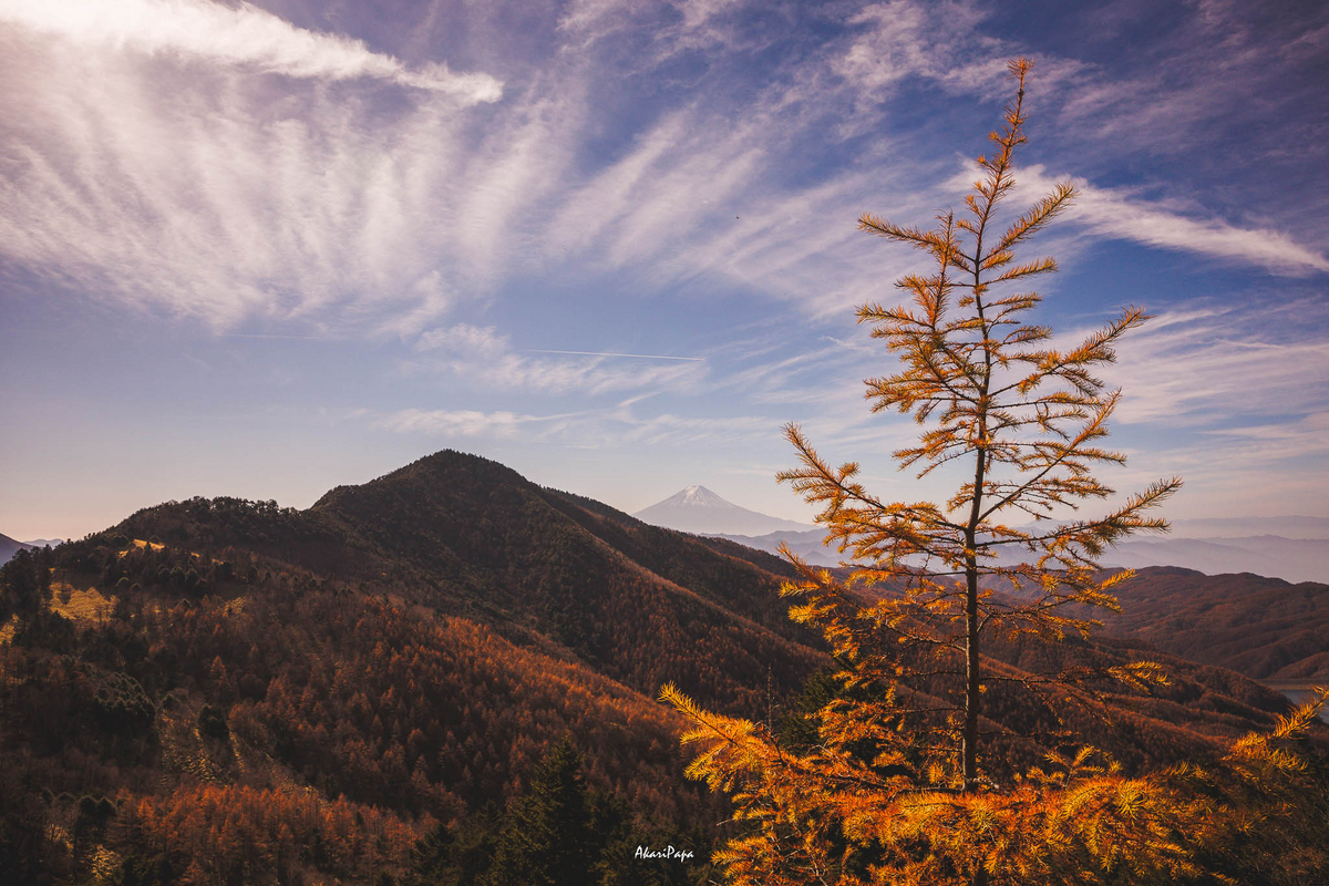 今年一番使ったレンズ、RF14-35mm F4 L（＋EOS R8） - あかりぱぱの徒然なるままに
