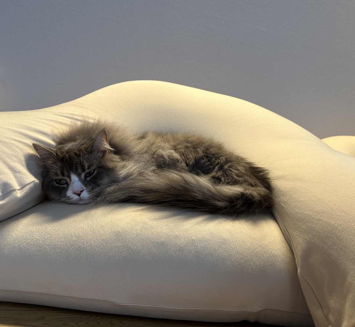 データカタログを社内公開するためにdbtソース定義ファイルを作った話 - Nealle Developer's Blog