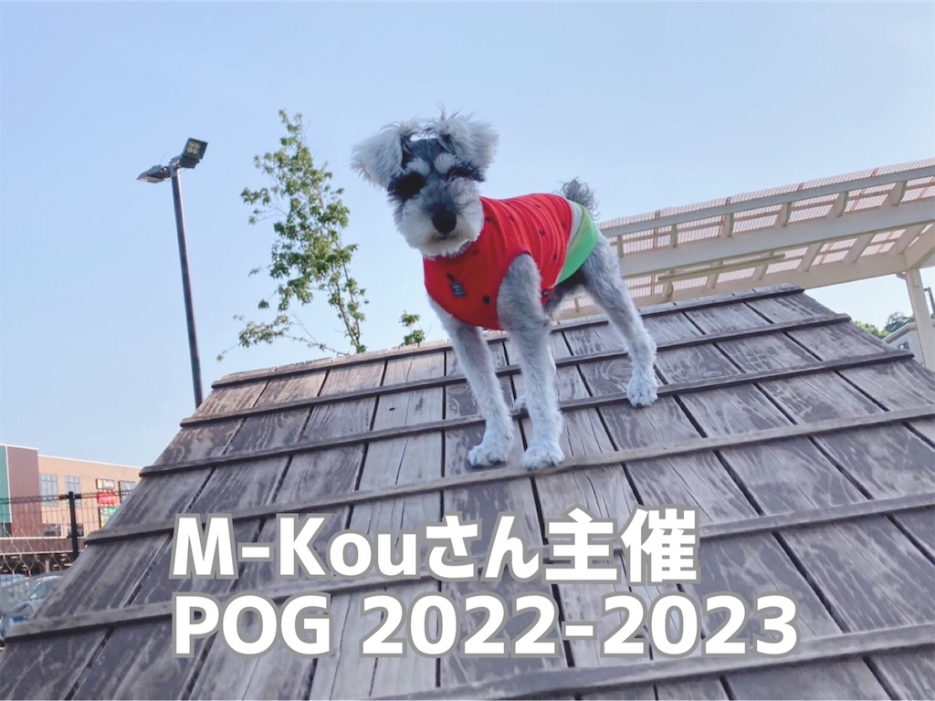 VR's 2nd & POG開幕 - sting like bee