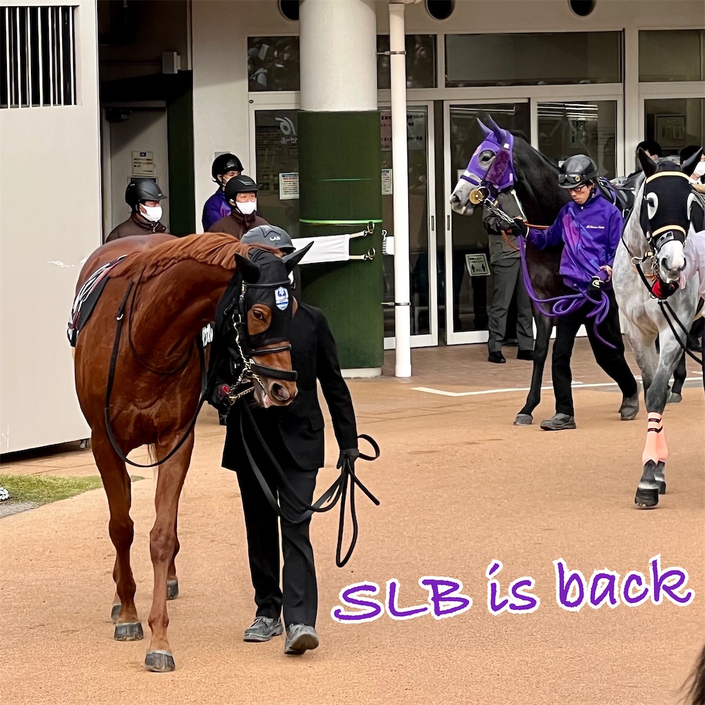 SLB is back！！ - sting like bee