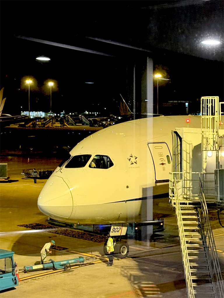 2025、1月 シンガポール＆ホーチミン弾丸旅行 〜ANA『NH892 羽田便』B787-9『ビジネスクラス キャビン』 - Cass's Trip