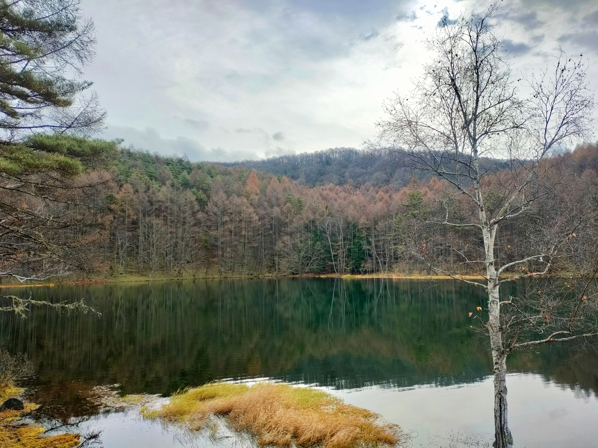 いつの日か見た何か、感じた何処か - AnotherVision Countdown Calendar 2024