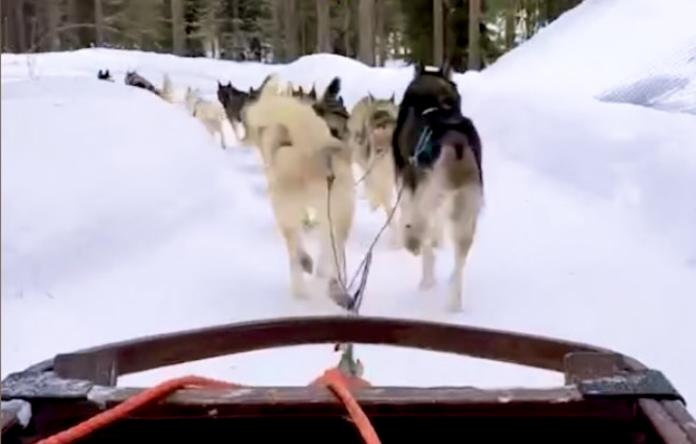 サンタクロースファンタジア - AnotherVision Countdown Calendar 2024