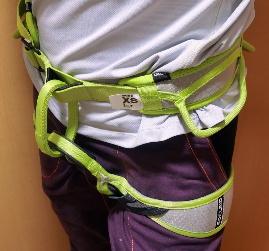 181112 Edelrid Moe II Climbing Harness - avoclimbs