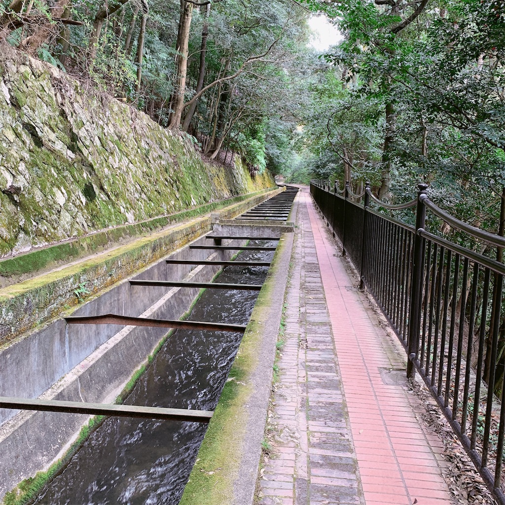 花見をしたつもり 2023 - ALRECO