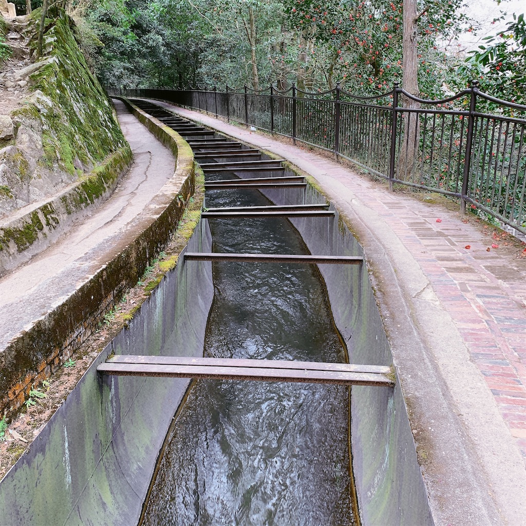 花見をしたつもり 2023 - ALRECO