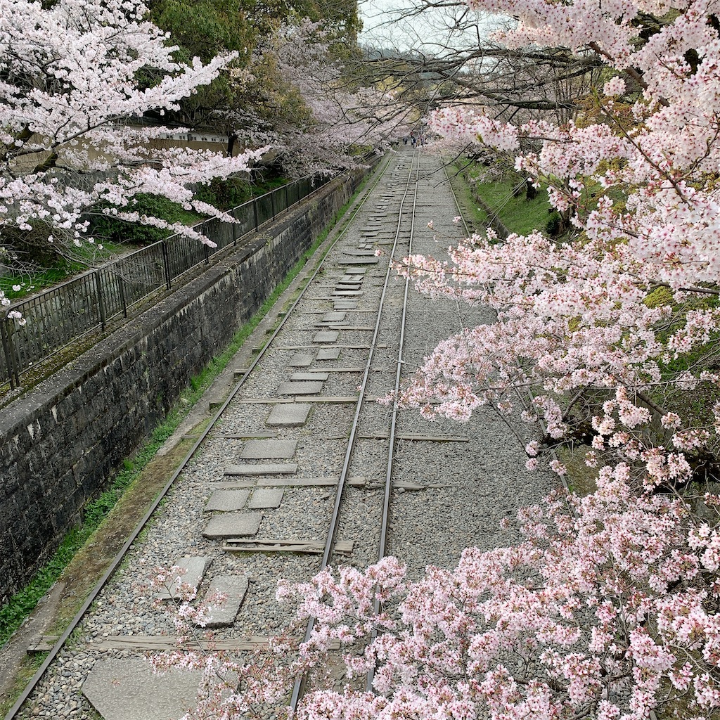 花見をしたつもり 2023 - ALRECO