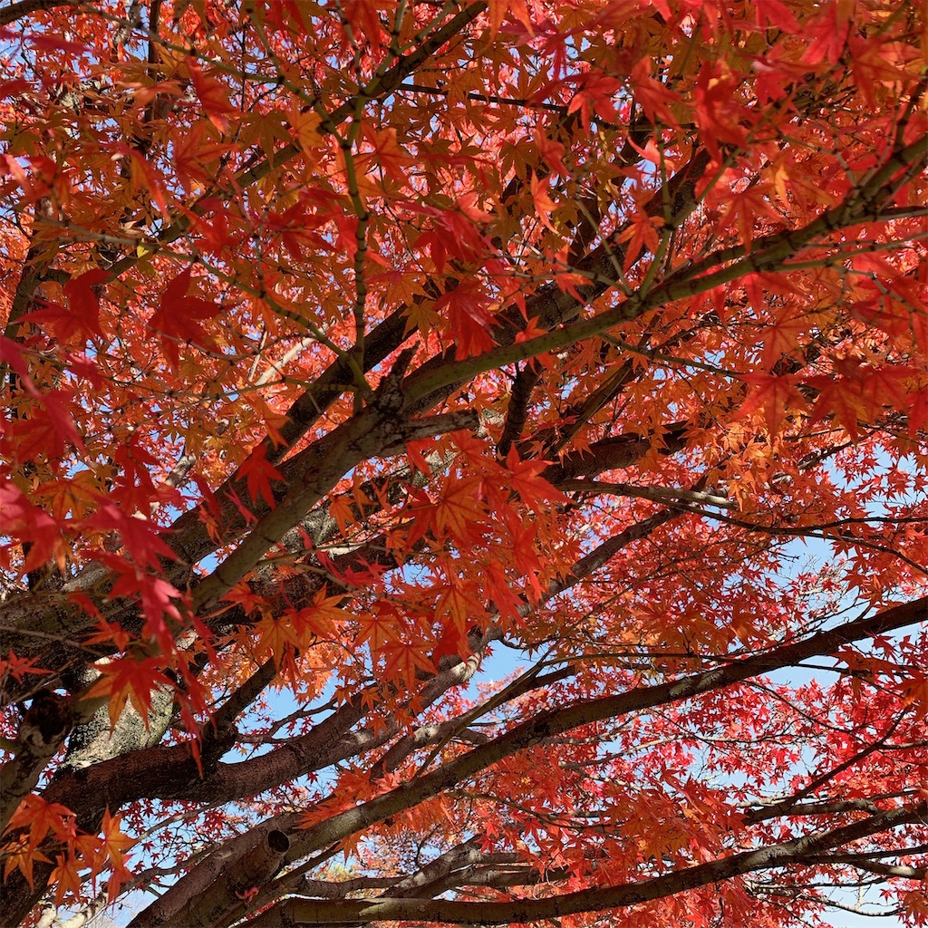 散々な年末年始 2023-2024 - ALRECO