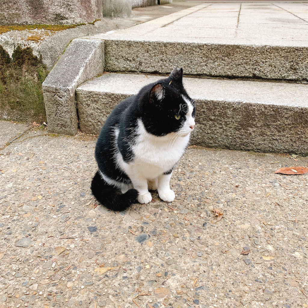 散々な年末年始 2023-2024 - ALRECO