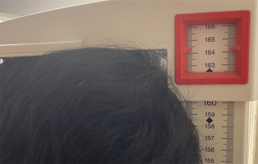 身長測定 再開24日目 - 実験体Aの日記