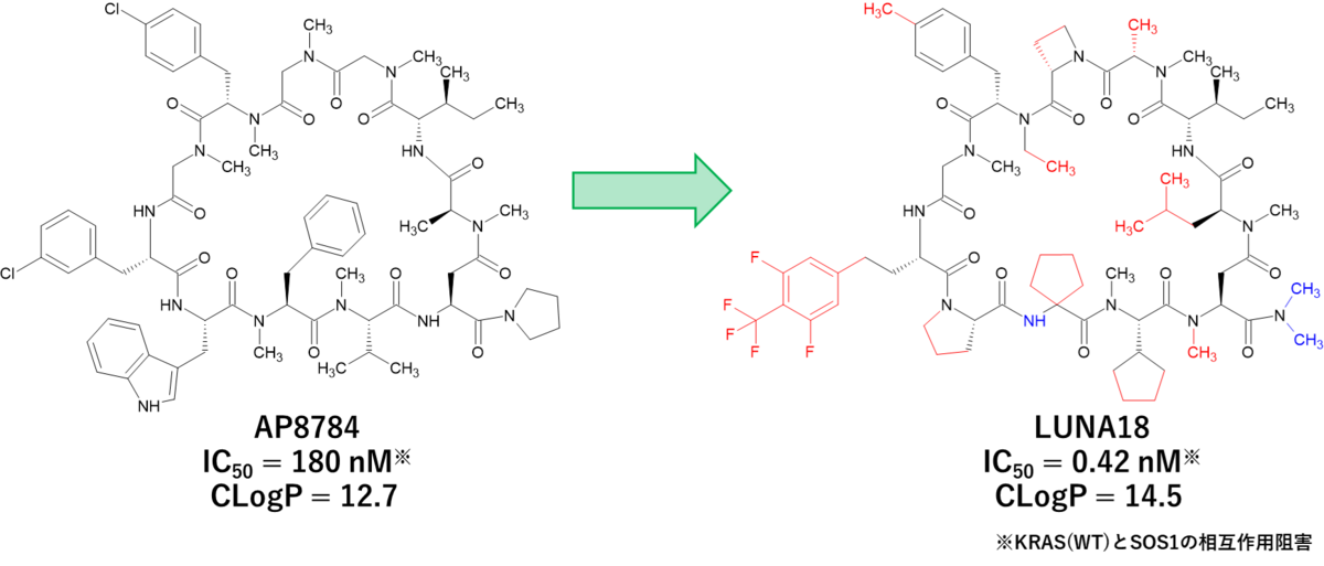 暗黒大陸を行く（上陸編） - Azarashi_Pandaの日記
