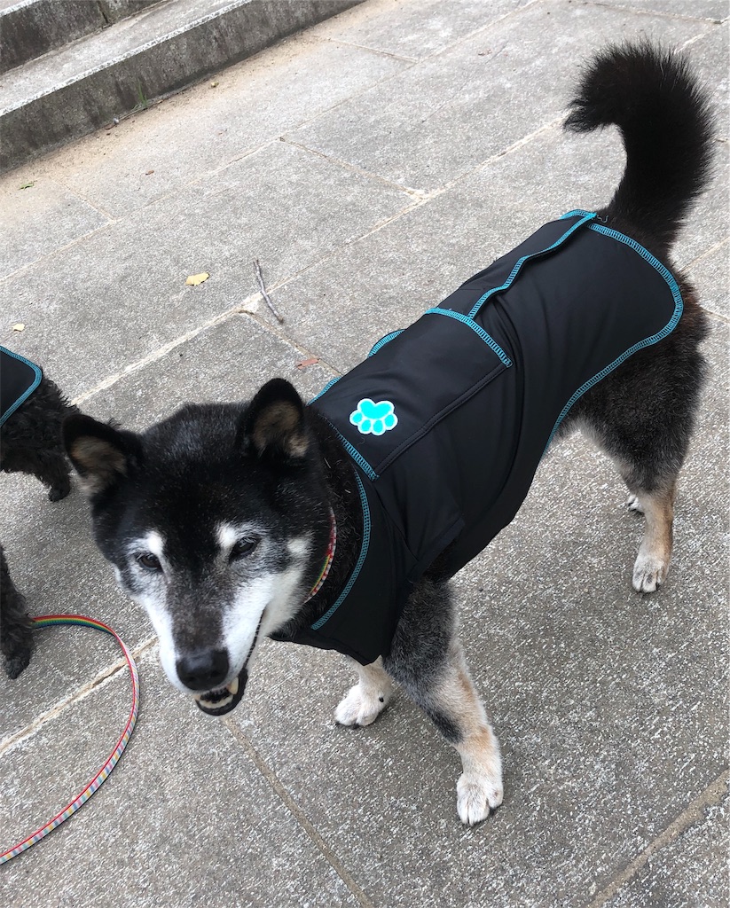 6月20日・・・BeneFab到着 - B-DOGS 食事日記