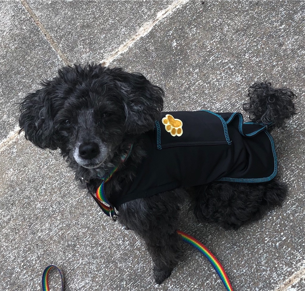 6月20日・・・BeneFab到着 - B-DOGS 食事日記