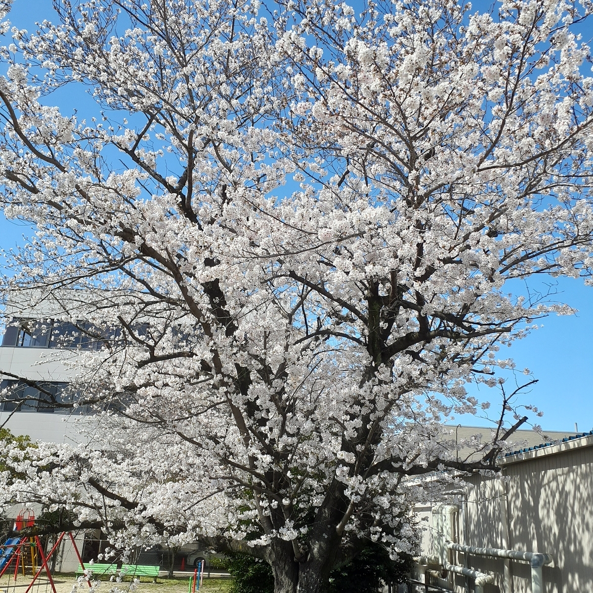 酒 ～AFURI - BASI-KRAMER’s blog