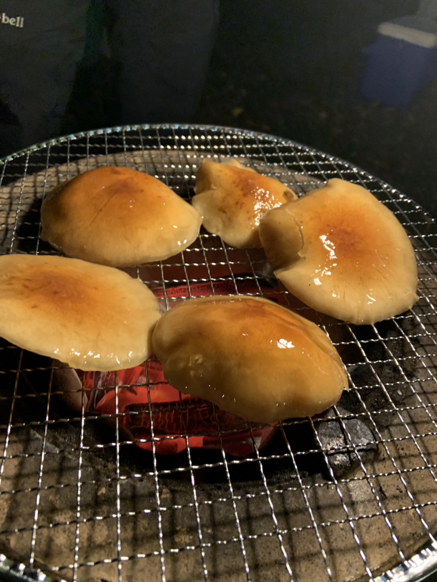 キャンプ場 ～近所の広場にて - BASI-KRAMER’s blog