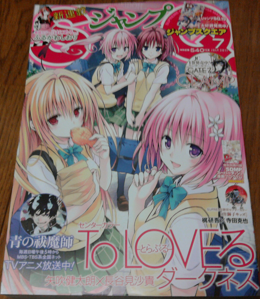 個別「20110604001210」の写真、画像 - To LOVEる - BCC画像保管庫