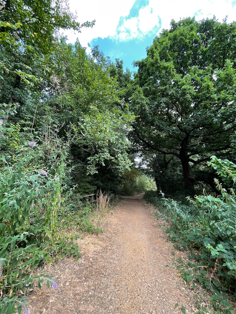 Coppetts wood - 2度目のイギリス生活