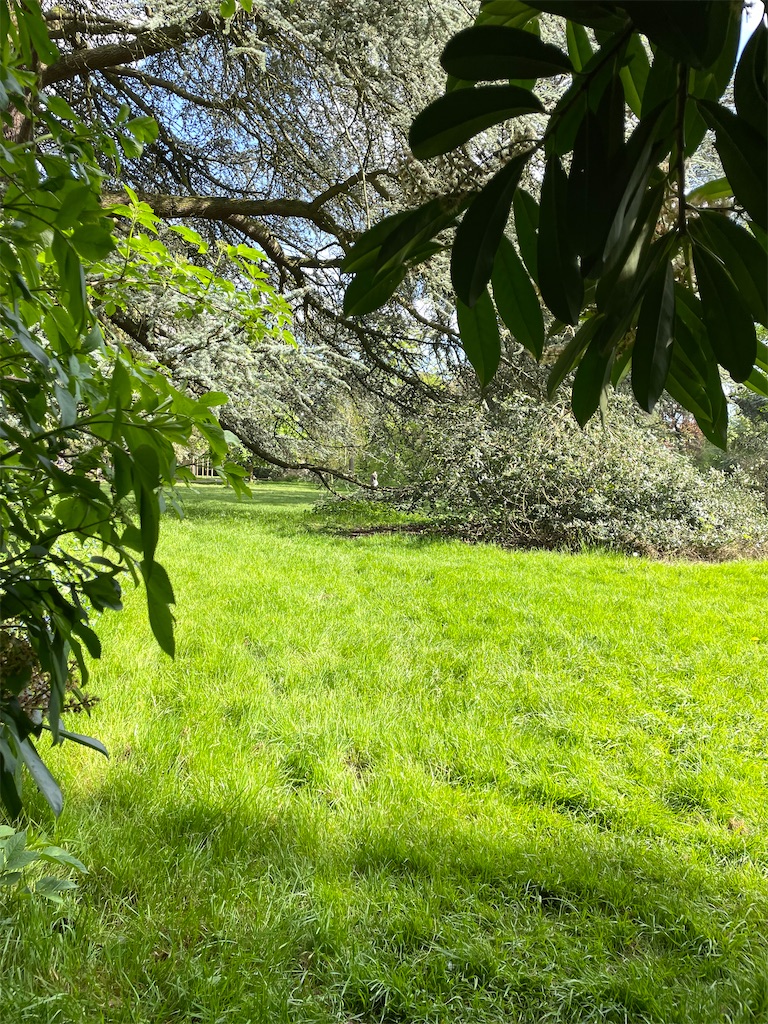 Stephens House and Gardens - 2度目のイギリス生活