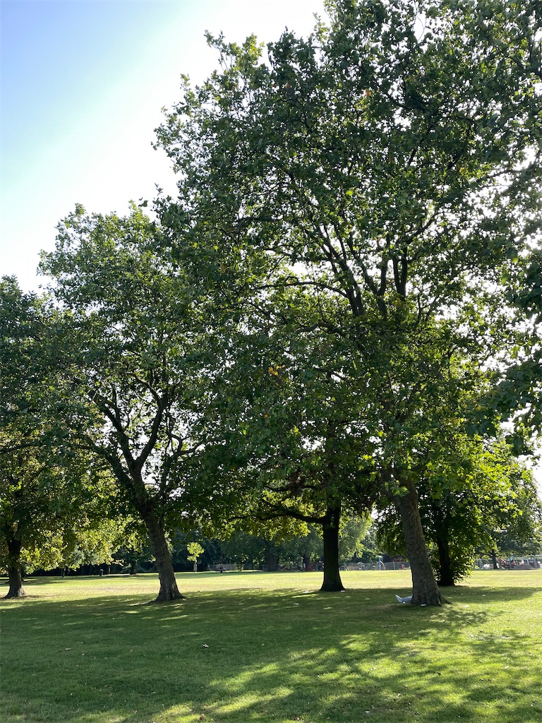 Hendon Park - 2度目のイギリス生活