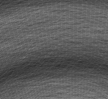 Generative Art #1 - Processing作品 - BioErrorLog Tech Blog