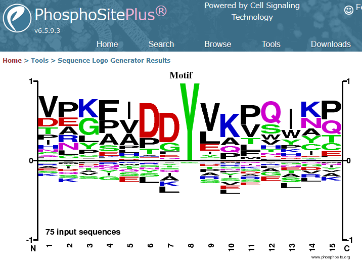 【徹底解説】PhosphoSitePlusの使い方 - バイオインフォマティクス