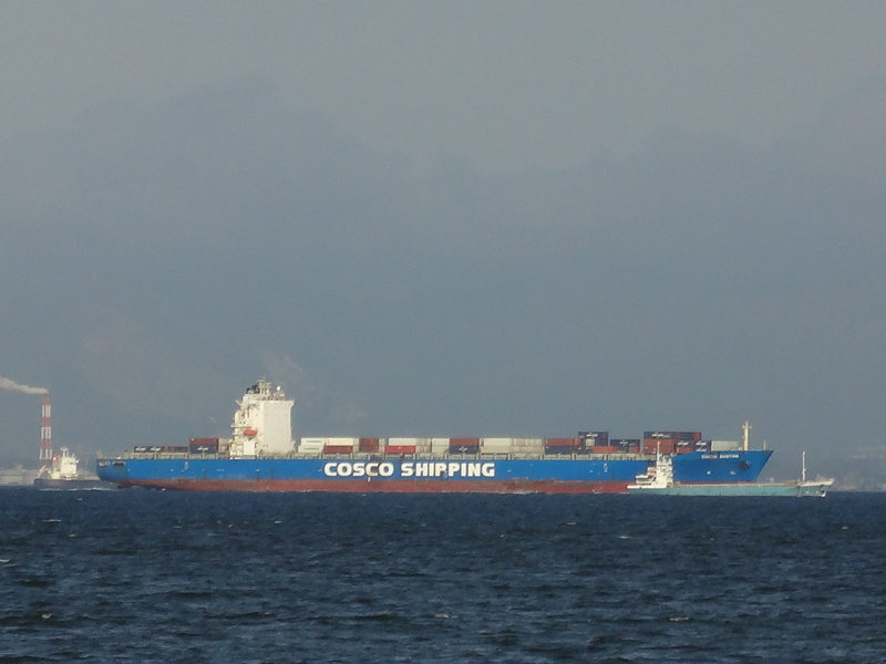 OOCLが運航するコンテナ船 COSCO BOSTON - SHIPS OF THE PORT