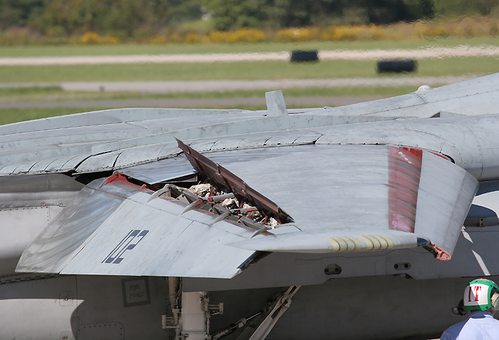 個別「[飛行機]F-14主翼 最前進状態でスラット・フラップ・スポイラを展開した状態」の写真、画像 - 飛行機 - Blueforce's ...