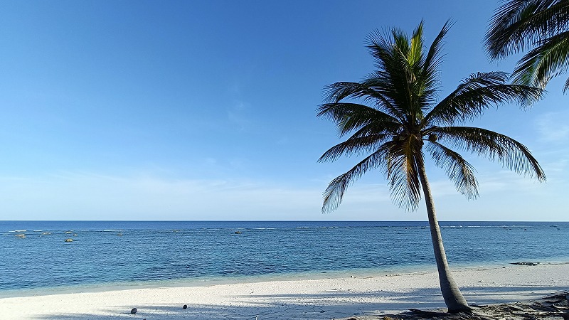 人生初☆南鳥島視察にやってきました！ - 小笠原諸島・母島ジャイアン ブログ =GIAN'S HAPPY BLOG=