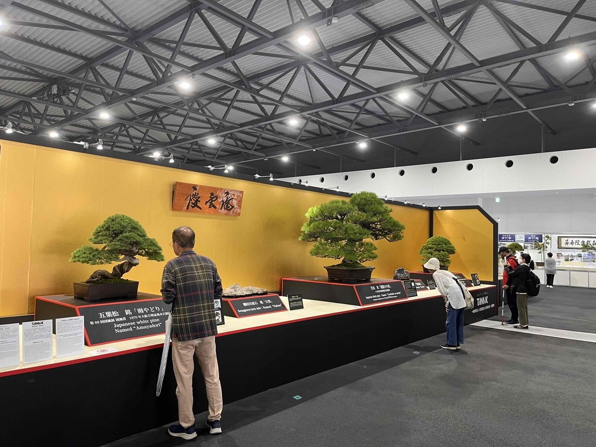 Bonsai Culture Overload! A Once-in-a-Lifetime Experience at the EXPO ...