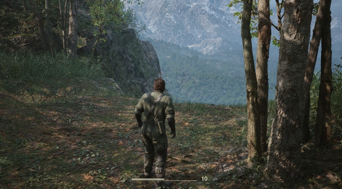 【蛇の瞳が映す世界】KONAMI社「METAL GEAR SOLID Δ: SNAKE EATER」のベンチマークをレビュー【ミドル ...