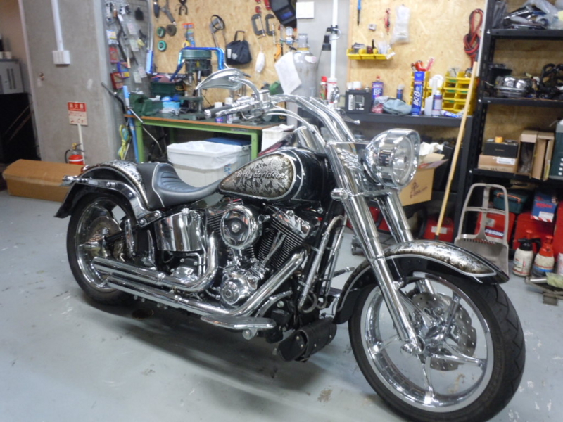 FLSTF CUSTOM - CHICS blog