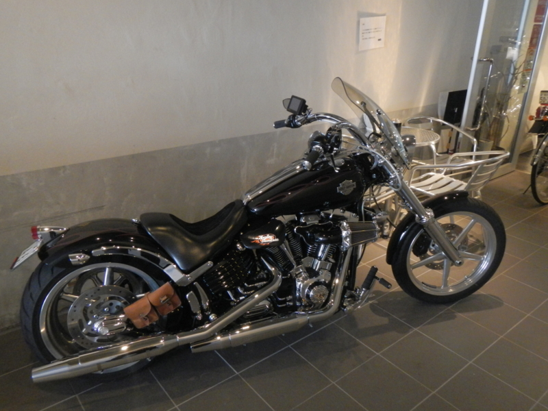 '11/FXCWC - CHICS blog