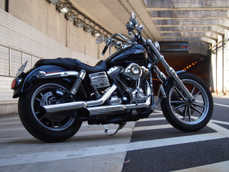 2009 FXDL Front Fork - CHICS blog