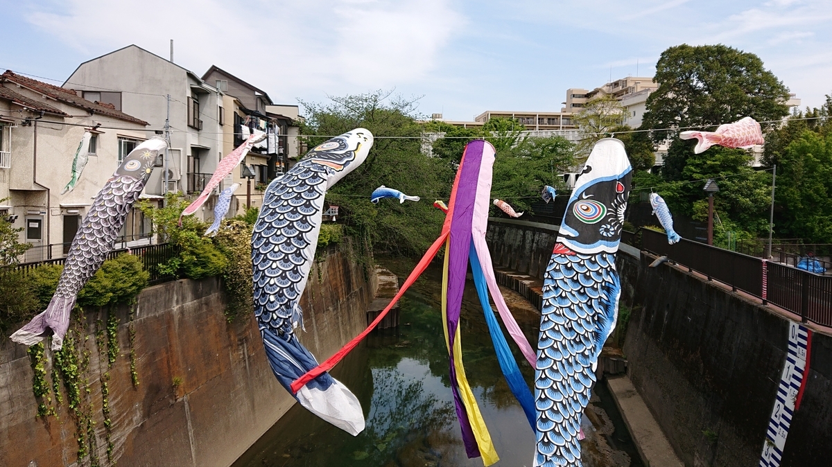 継続は苦手なりーバーチャルUTMF2021レポート - 竹仙坊日月抄