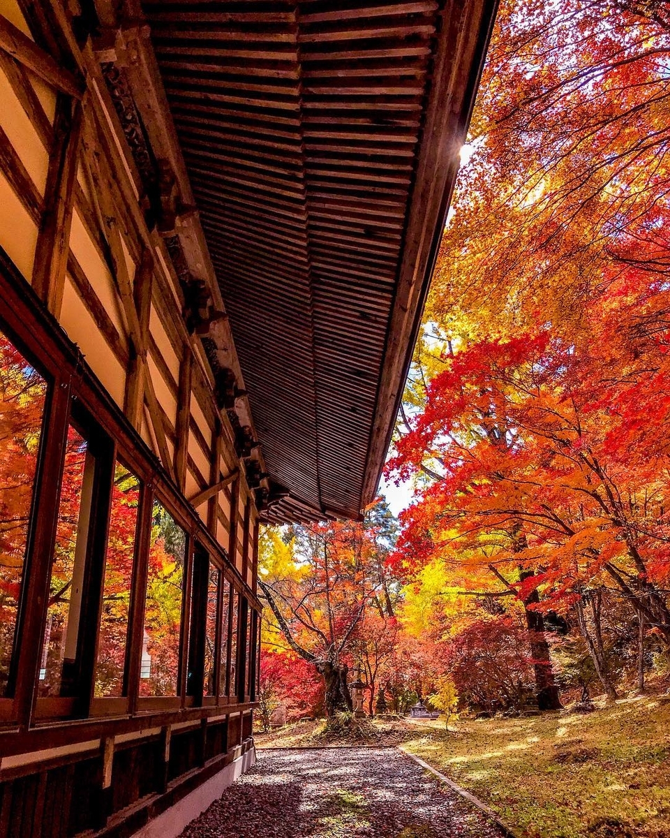 Reishoji - The most breathtaking spot to see fall foliage in Omachi ...