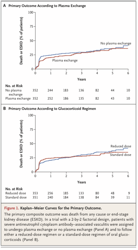 重症ANCA関連血管炎の血漿交換・ステロイド（PEXIVAS study） - 膠原病・リウマチ一人抄読会