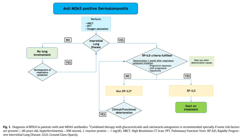 抗MDA5抗体陽性皮膚筋炎の急速進行性間質性肺炎（RP-ILD）の治療推奨 - 膠原病・リウマチ一人抄読会