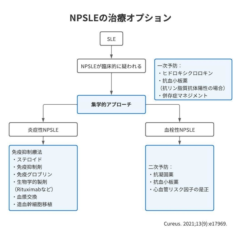 神経・精神症状を起こすSLE（NPSLE） - 膠原病・リウマチ一人抄読会
