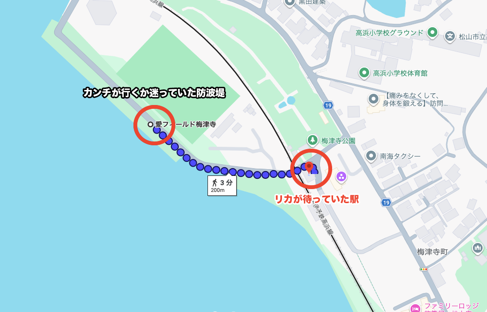東京ラブストーリー 〜ここが気になる小ネタ集〜 - 重箱の隅を巻き戻す〜フィクションと現実のすきま