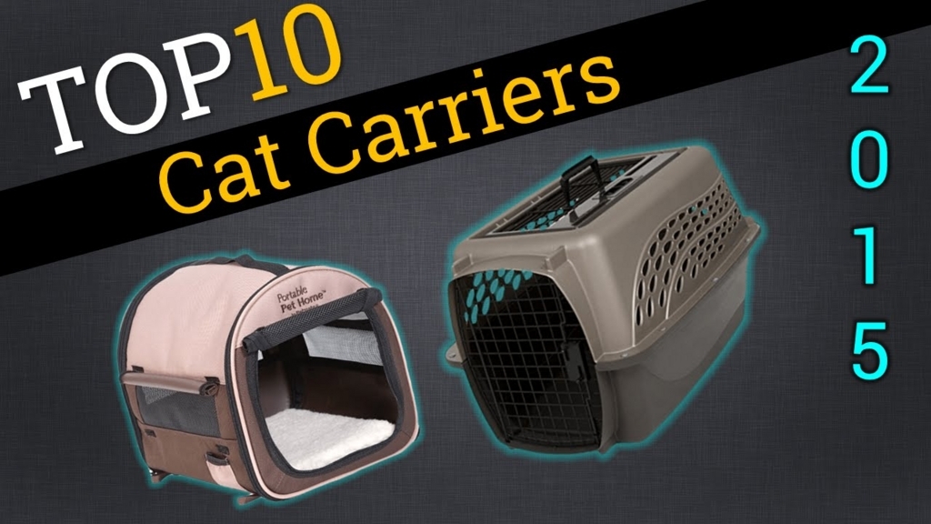 Leading 5 Ideal Cat Carriers in 2017 - CatCarrierService’s blog
